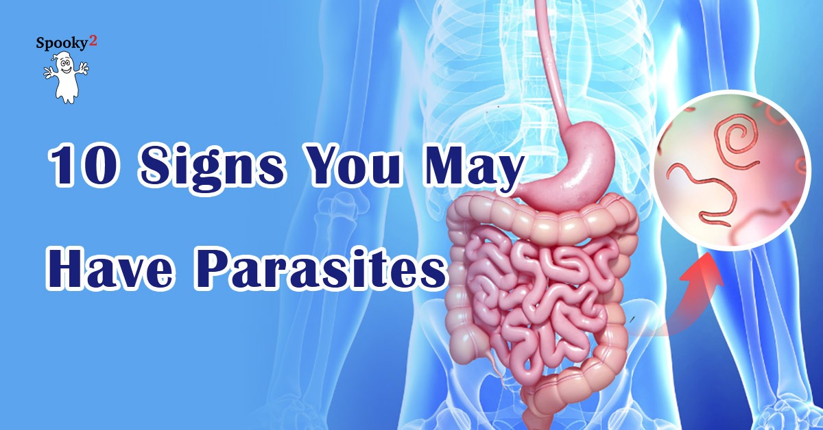 10 Signs You May Have Parasites - Spooky2
